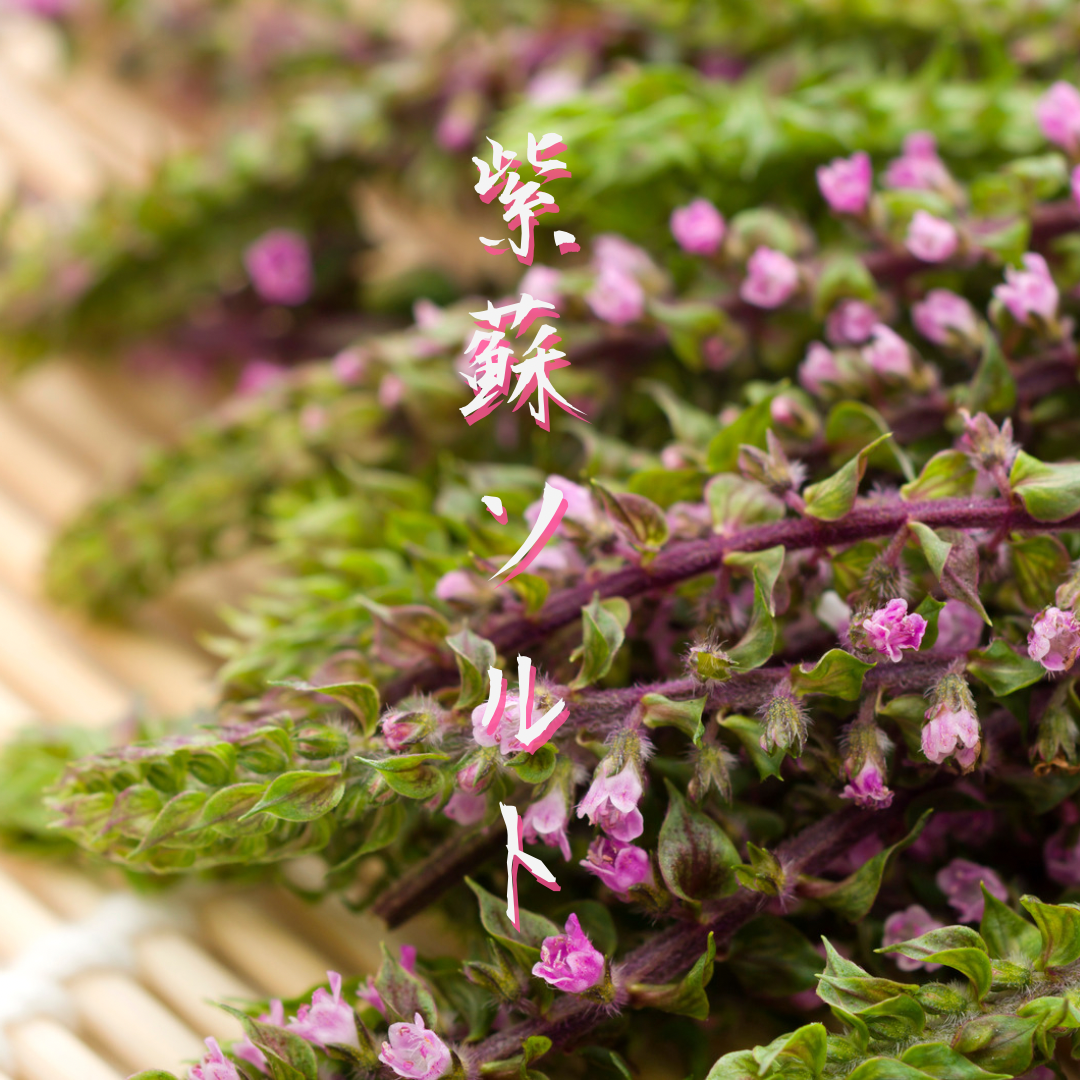 Alice Land -【食品】紫蘇ソルト(88g)