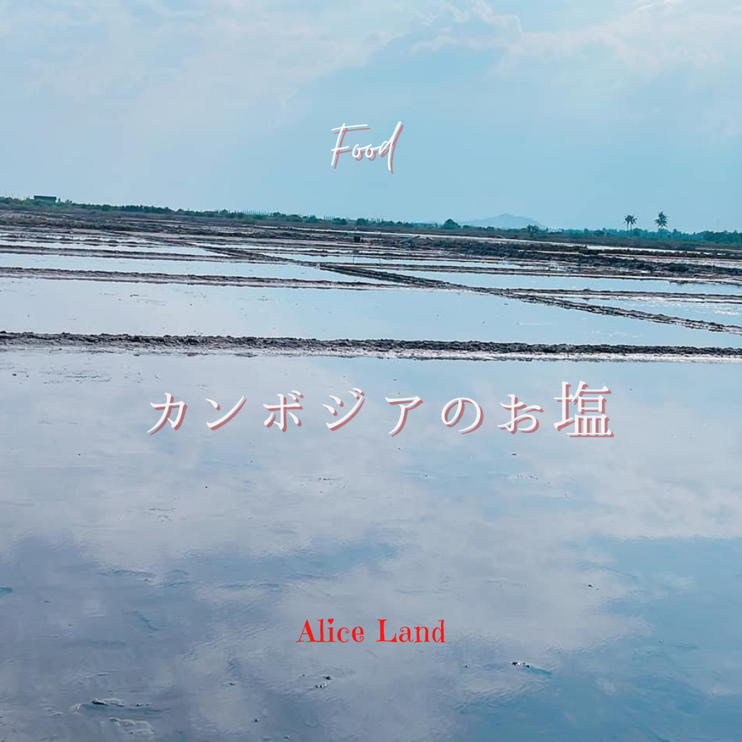 Alice Land -【食品】オンラインサロン・応援のソルト購入者限定＊生胡椒塩漬けプレミアム(40g)カンボジアのお塩(50g)