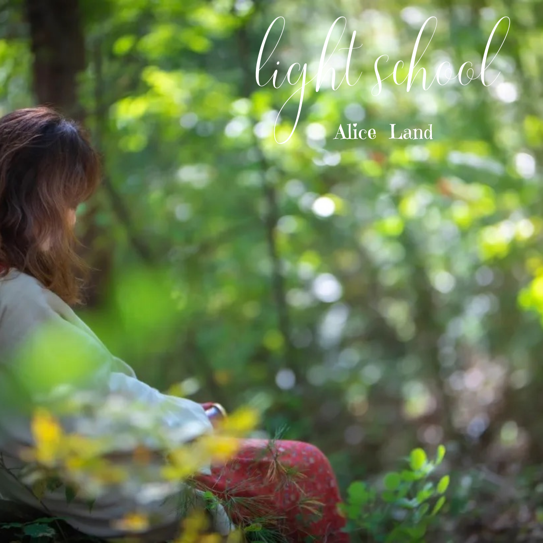 Alice Land −mini受講者専用フォーム・light school basic class(通学＆オンライン）